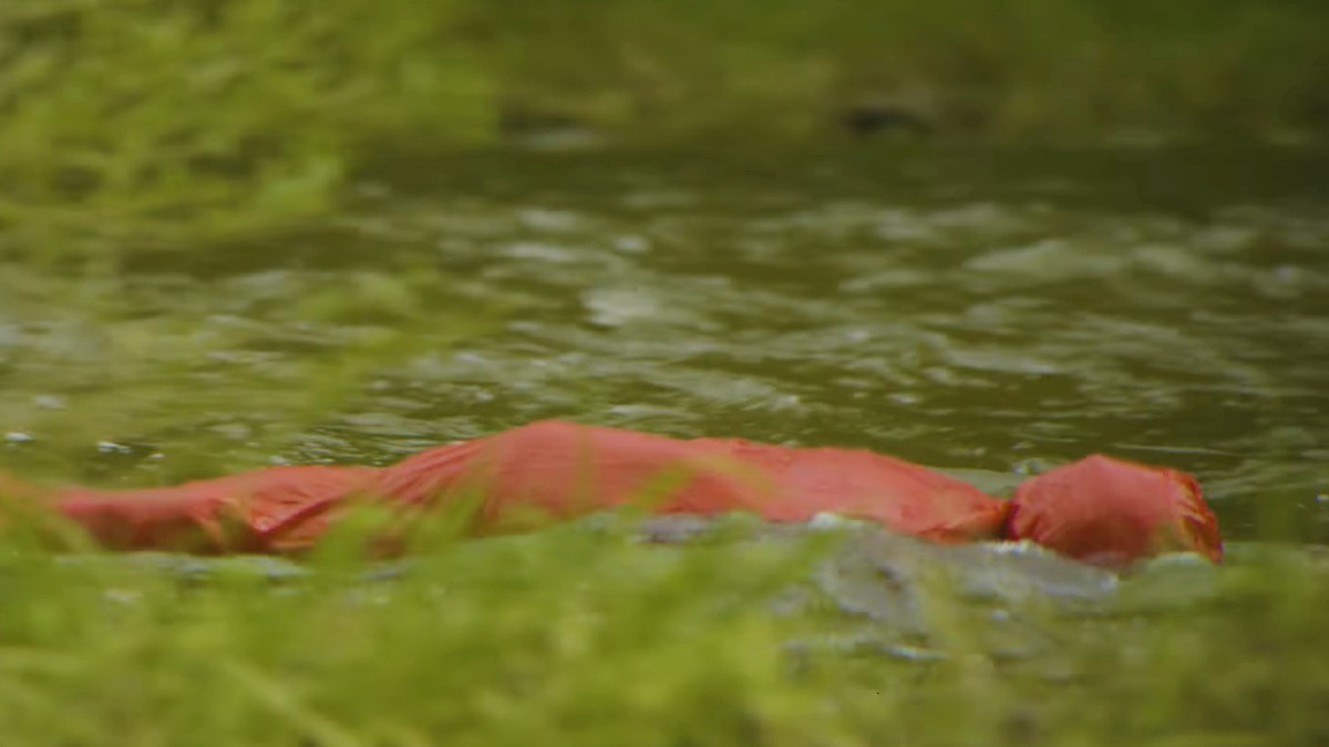 ‘John Carpenter’s Suburban Screams’ on Peacock: Trailer, Release Date ...