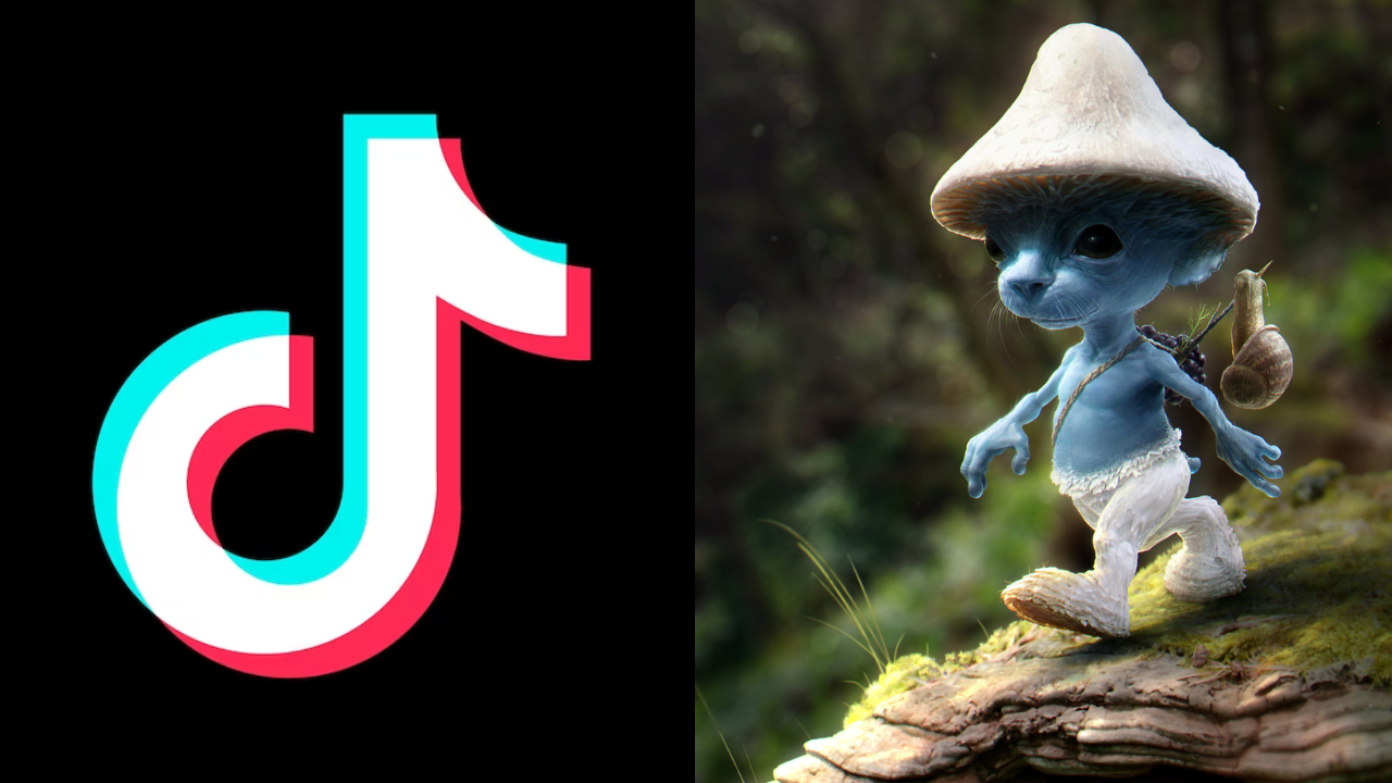 The Blue Smurf Cat Meme on TikTok, Explained