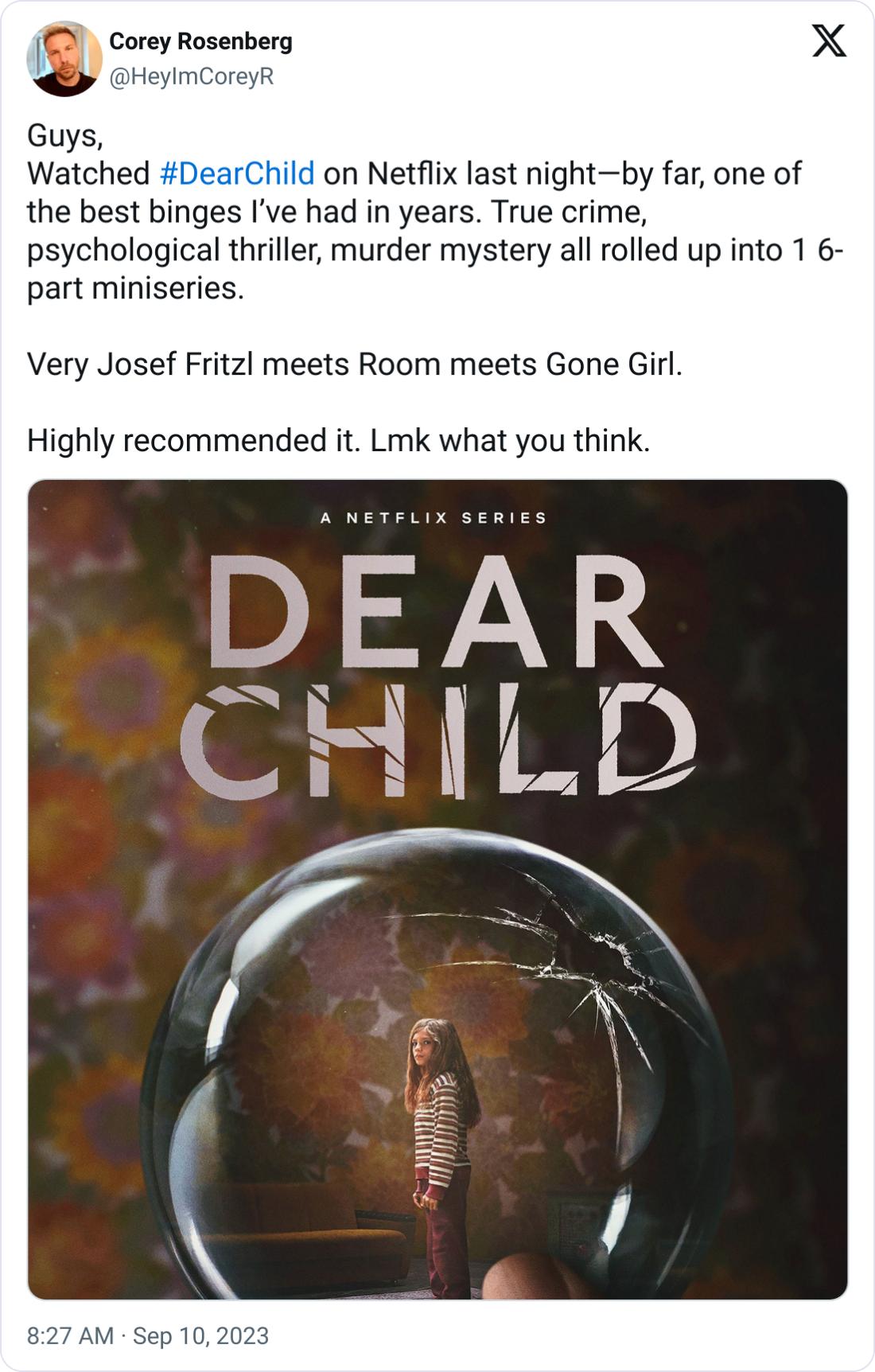 What happened to Lena in Netflix's 'Dear Child?'