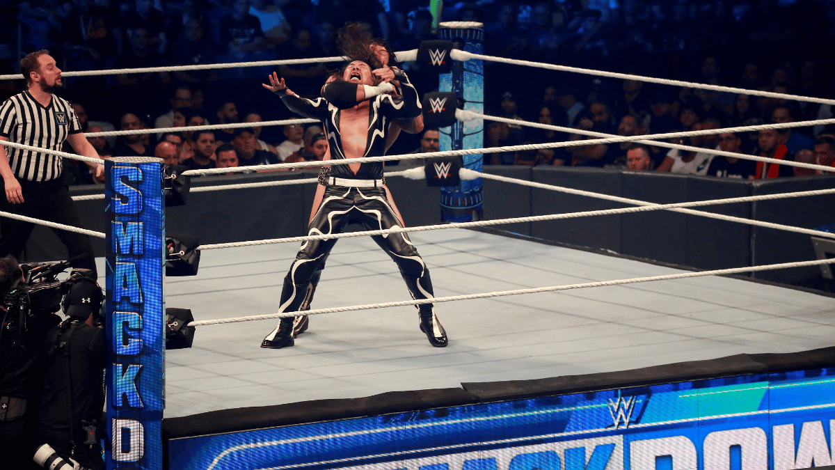 Why Is the WWE Merging With the UFC? Endeavor Deal, Explained