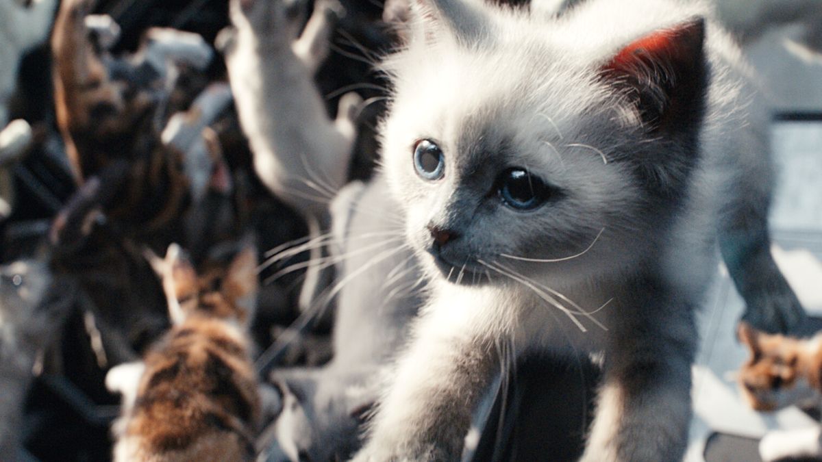 What Is a Flerken From ‘The Marvels?’ The Cat-Like Creatures, Explained