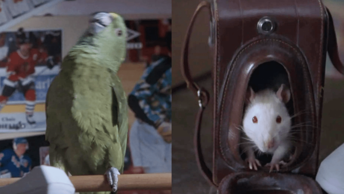 5 Reasons Why ‘Home Alone 3’ Is Far From the Worst Film in the Franchise