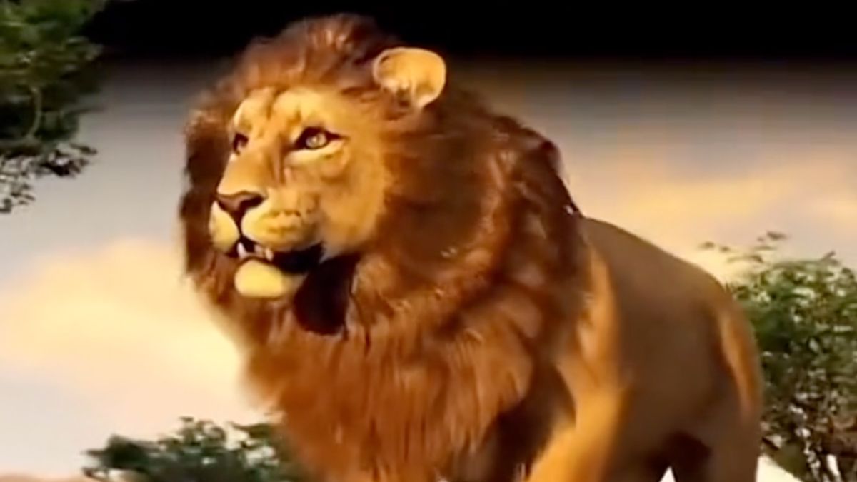 How Much Is a Lion on TikTok?