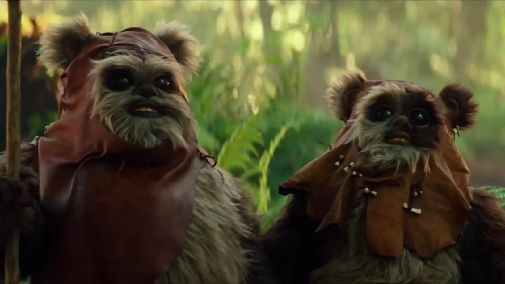 All Ewok names in ‘Star Wars'
