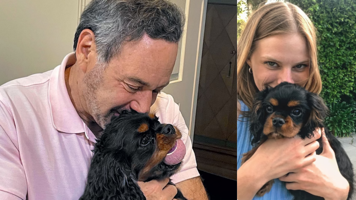 What Happened to Bush Speechwriter David Frum’s Daughter Miranda? Here ...