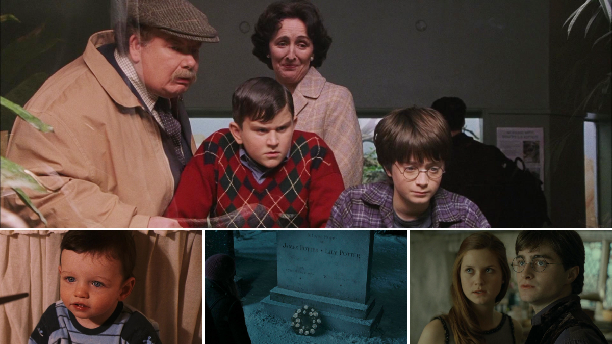 Harry Potter's Family Tree, Explained