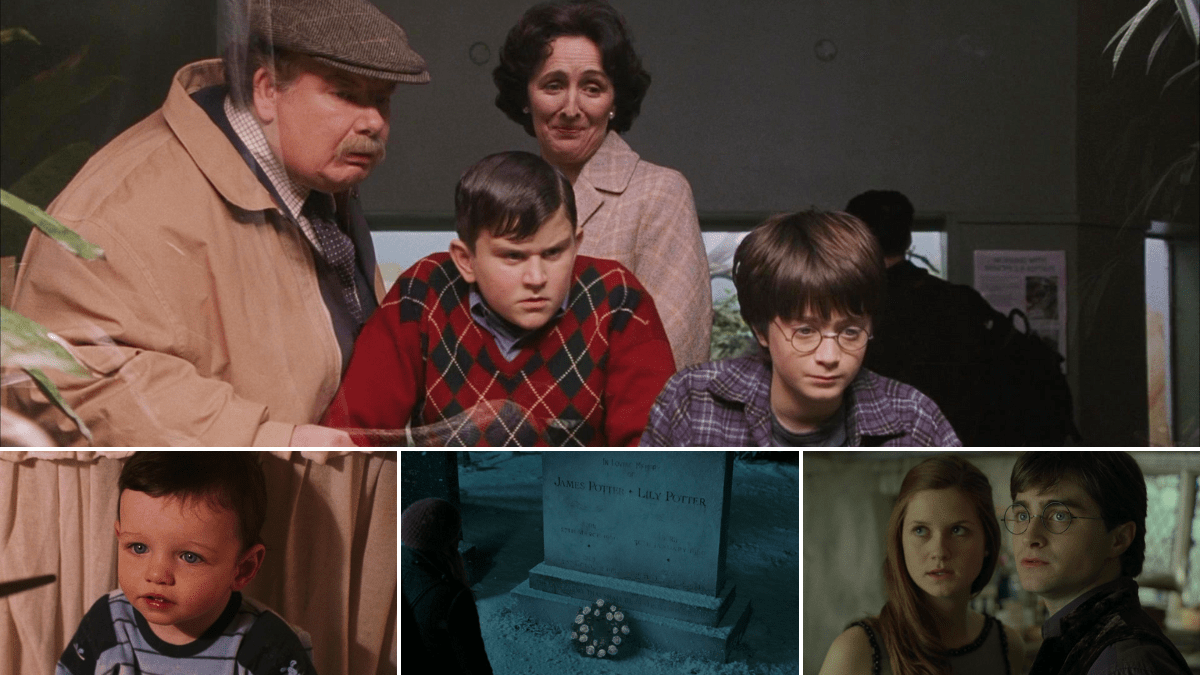 Harry Potter's Family Tree, Explained