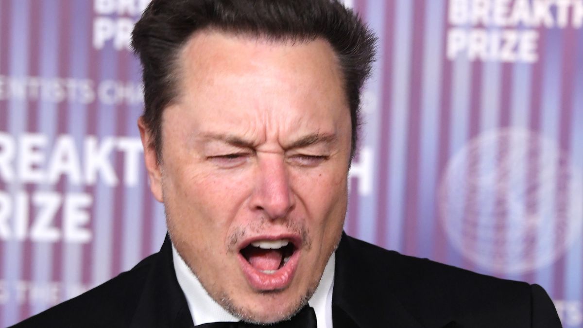Elon Musk's temptation meme, explained