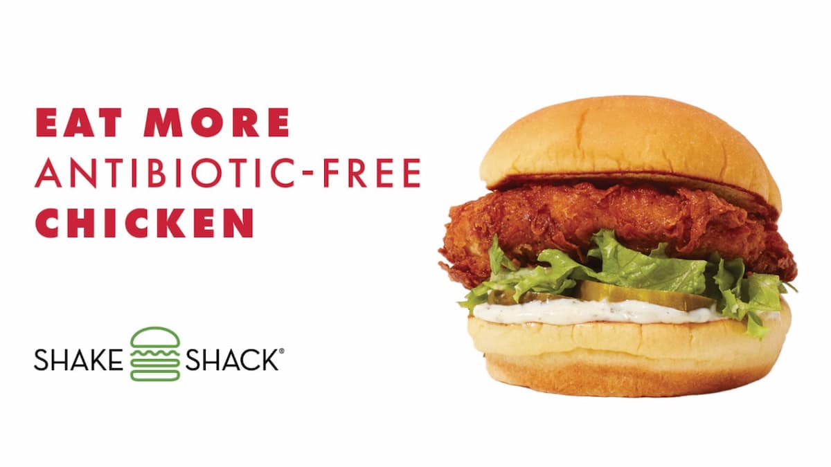 Shake Shack Free Chicken Sandwiches, Explained