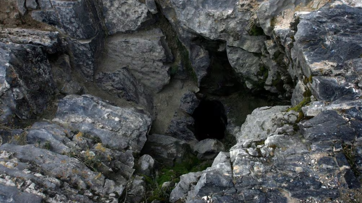 Why Couldn’t John Jones Escape Nutty Putty Cave Safely, and What ...