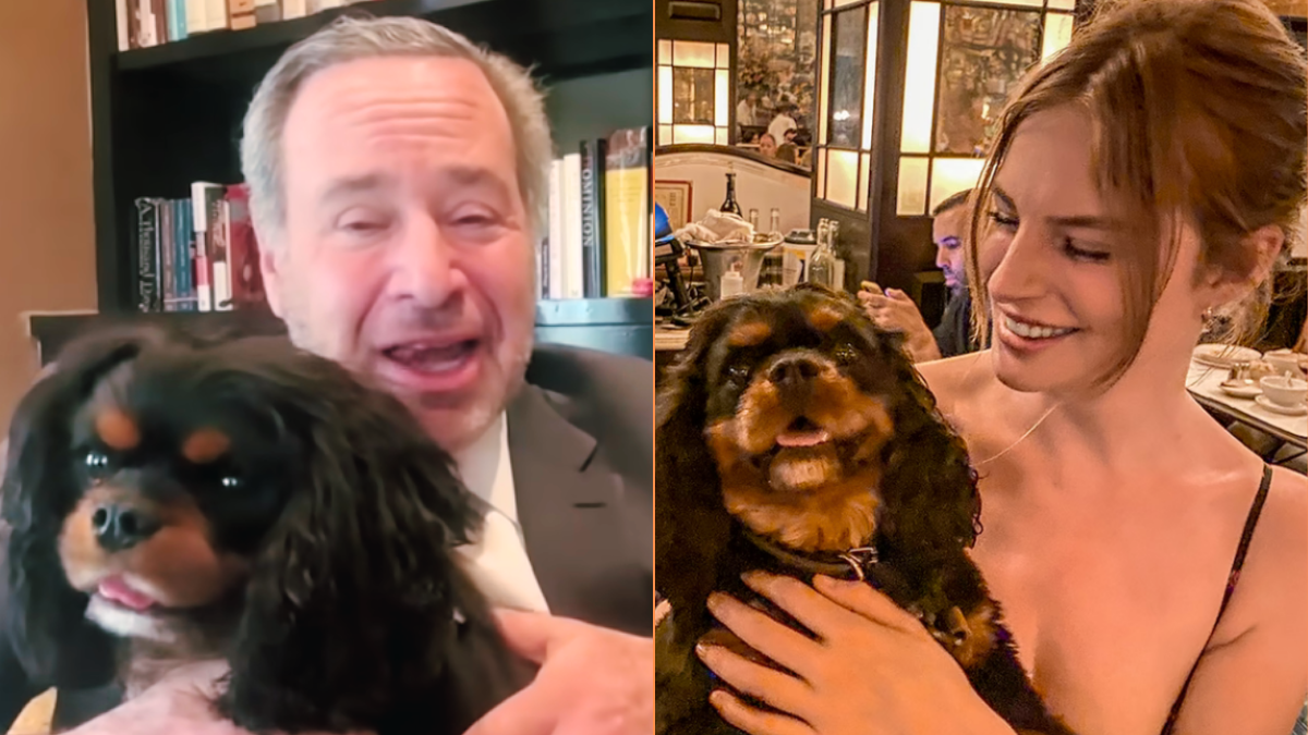 What Happened to Bush Speechwriter David Frum’s Daughter Miranda? Here ...