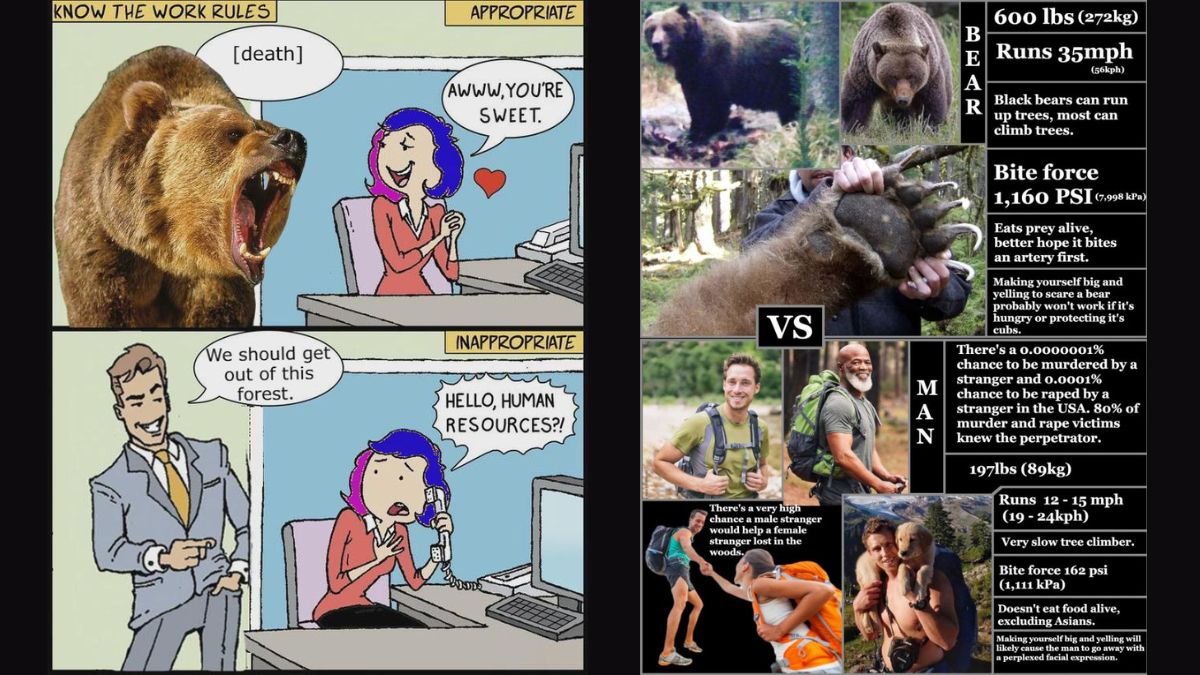 Here’s Why Men Are Getting Angry Over Tiktok’s ‘Man vs Bear’ Memes, and ...