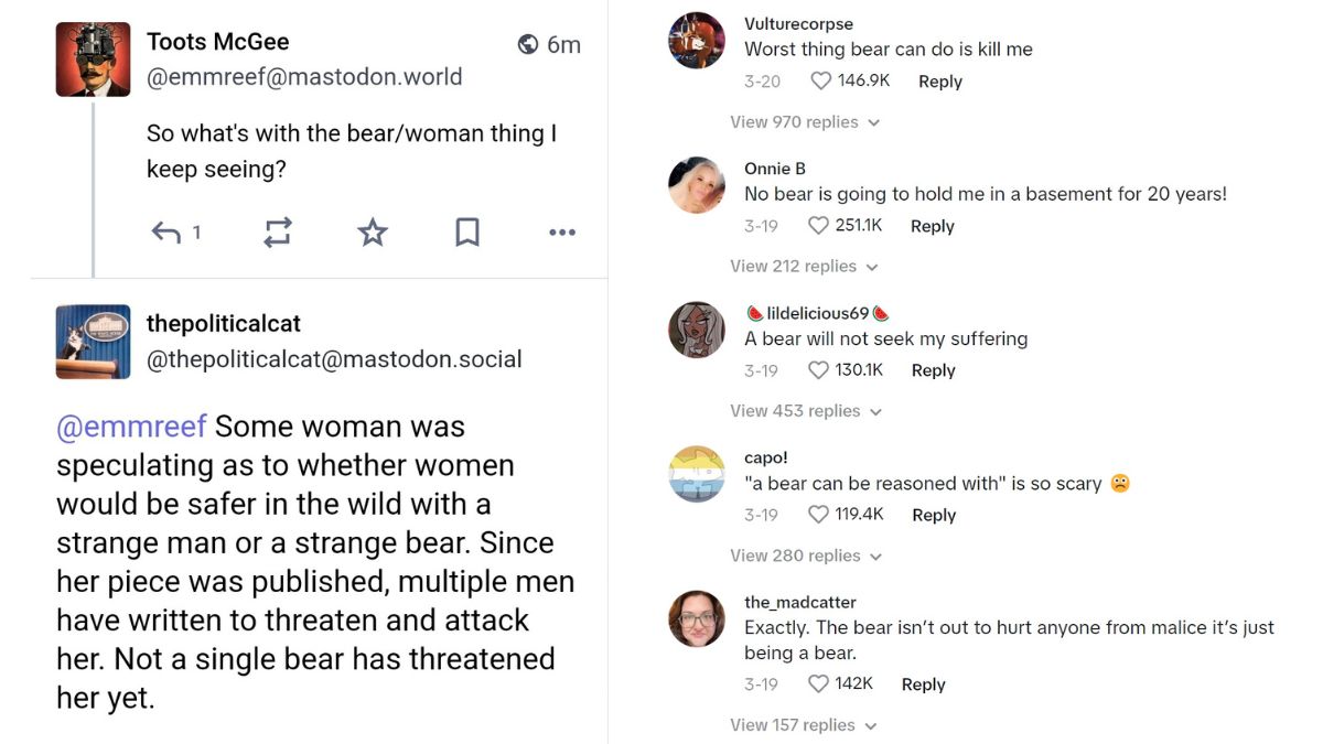 Here’s Why Men Are Getting Angry Over Tiktok’s ‘Man vs Bear’ Memes, and ...
