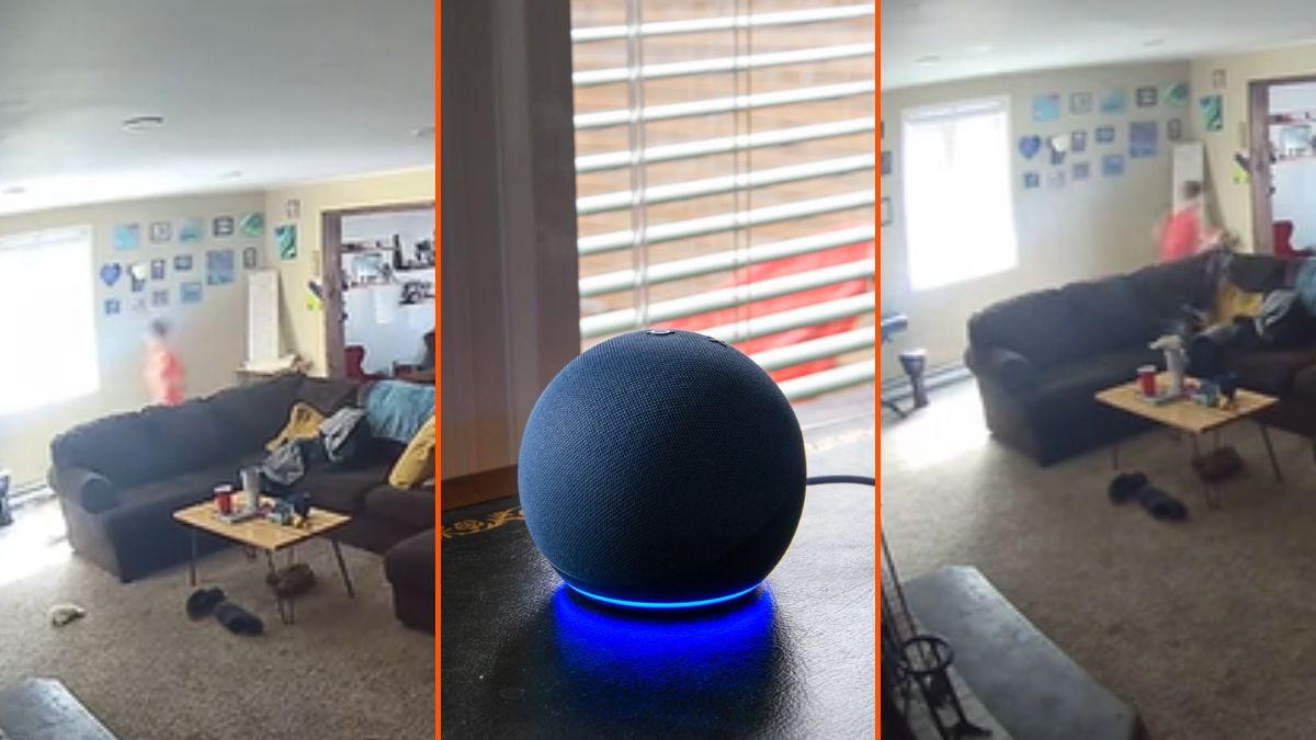 ‘Please Alexa! I’m Counting on You!’: Heroic Boy Desperately Tries to ...