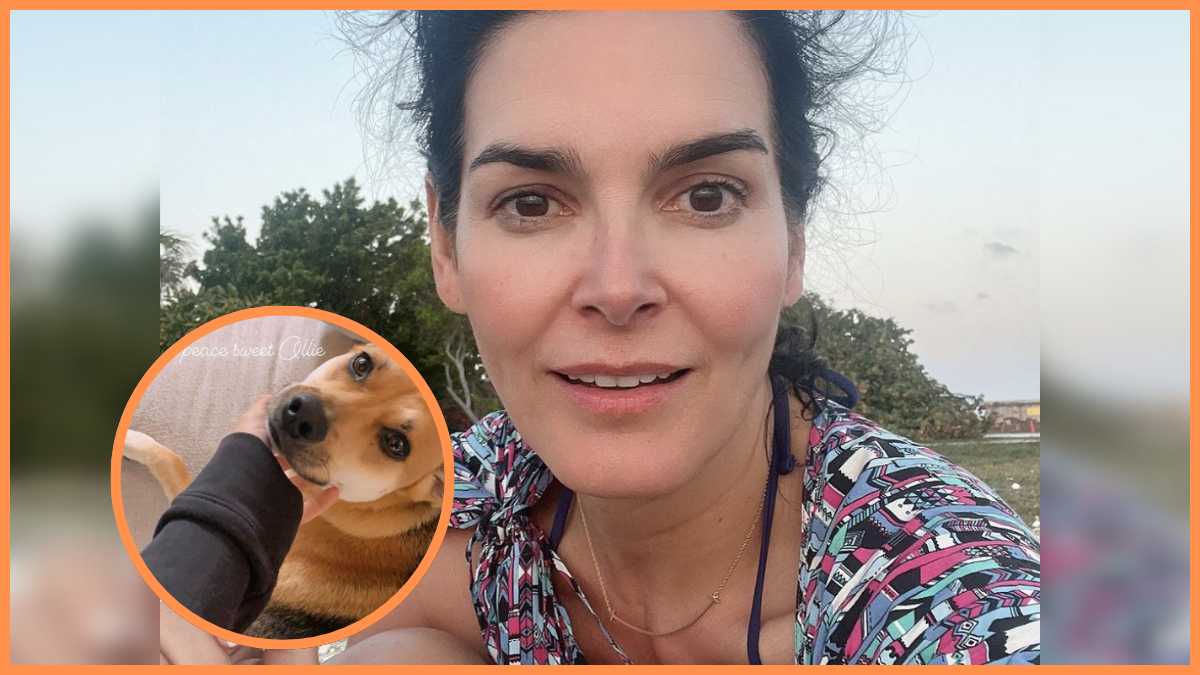 Instacart Driver Shoots Dog: What Happened to Angie Harmon's Dog, Explained