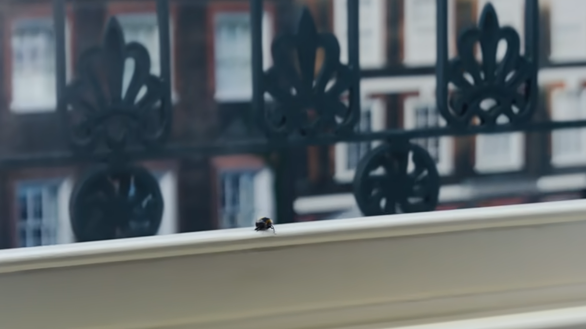 What Does the Bee in ‘Bridgerton’ Symbolize?