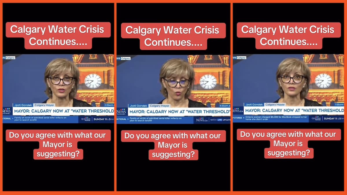 ‘Are People in Calgary Ok?’: News Anchor Urges People at Home Not to ...