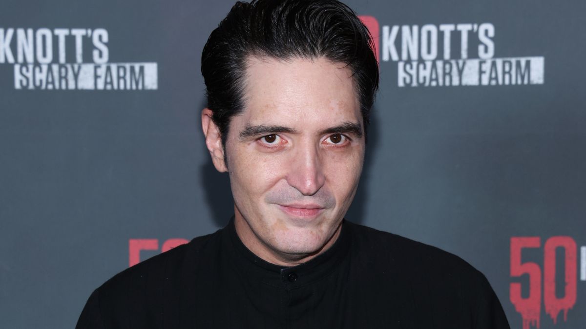Who Is David Dastmalchian Playing in the ‘One Piece’ Live-Action and ...