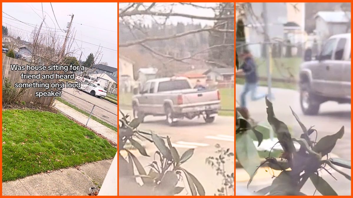 ‘That Dasher Dashed’: Police Lock down Neighborhood but Determined ...