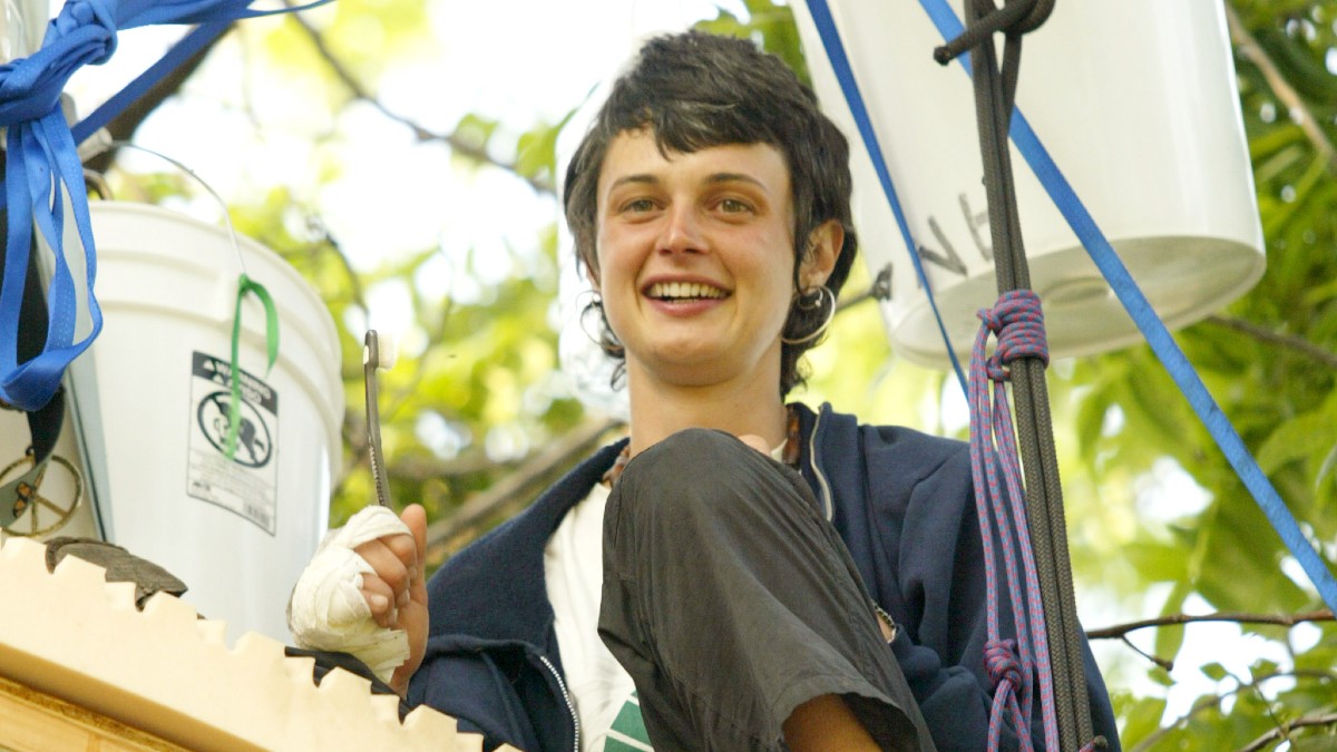 What Is the Story of Julia Hill, Who Climbed a 200 Foot Tree and Didn’t ...