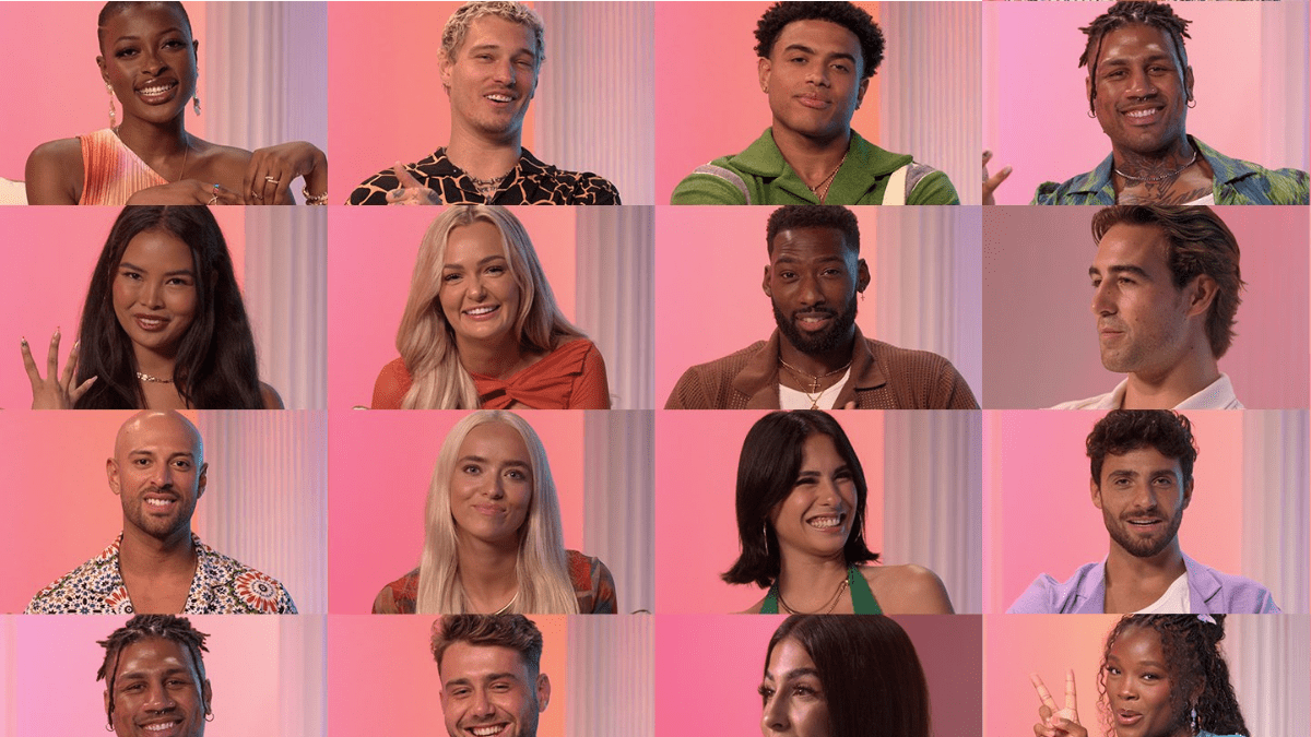 What Netflix Show Does Each ‘Perfect Match’ Cast Member Come From?