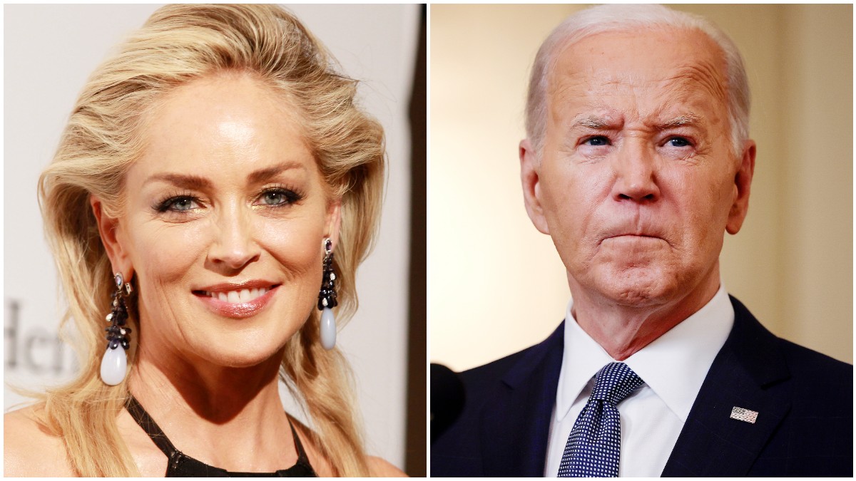 Sharon Stone’s Iron Clad Reason to Vote for ‘Sleepy’ Joe Biden, Explained