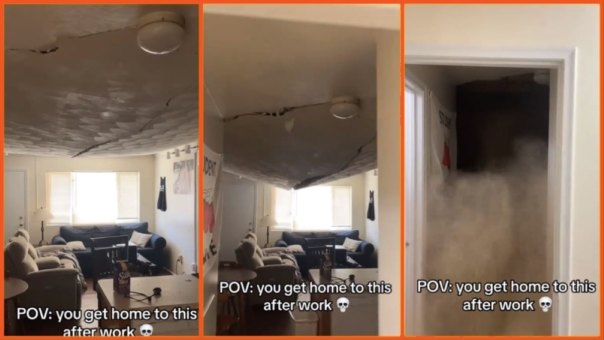 ‘Made It Home Just in Time for the Grand Finale’: Renters Arrive Home ...