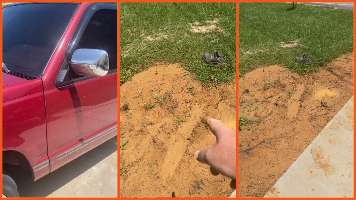 ‘The Way I Hollered’: Man Finds Footprints Pointing to a Slapstick Fall ...