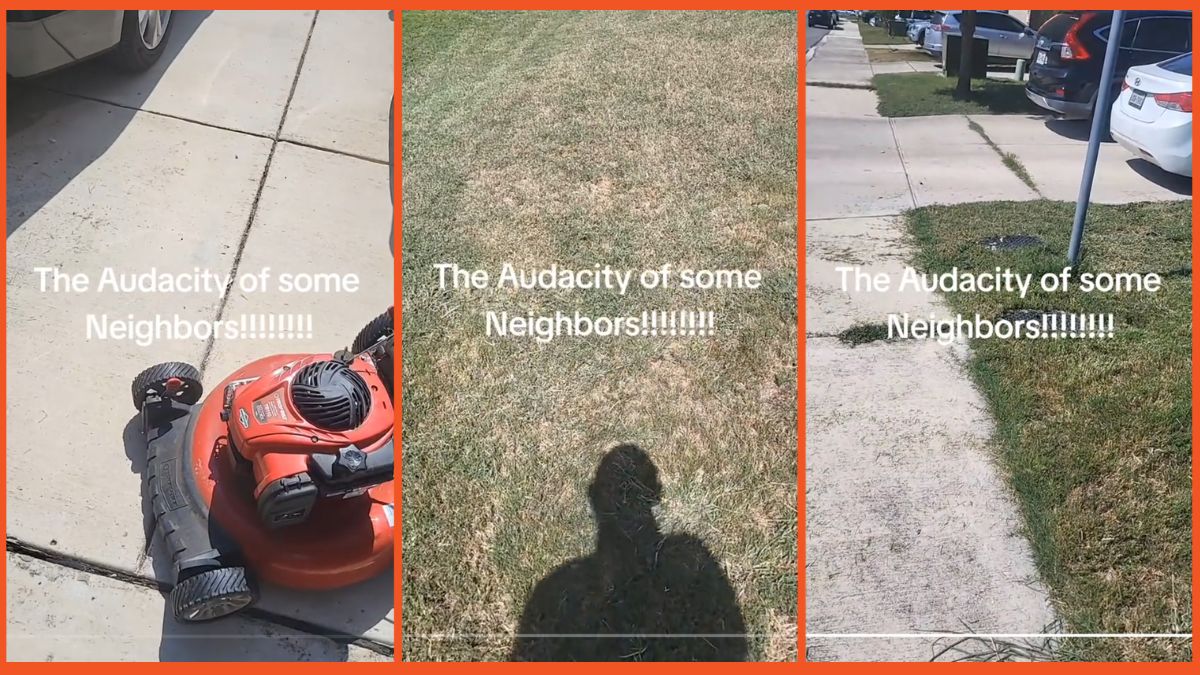 Neighbor Wars Kick off as Man Fights To See Who Can Show More ...