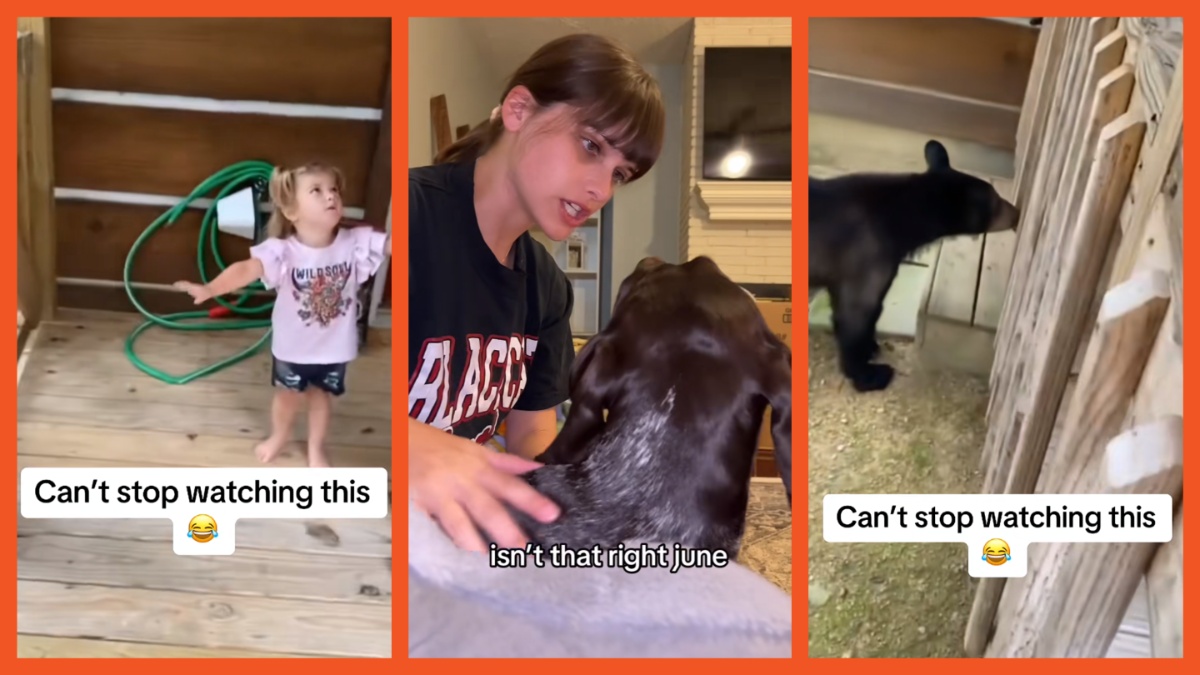 ‘The Story Is Complete’: Viral Vine Comes Full Circle for a Long-Ago ...