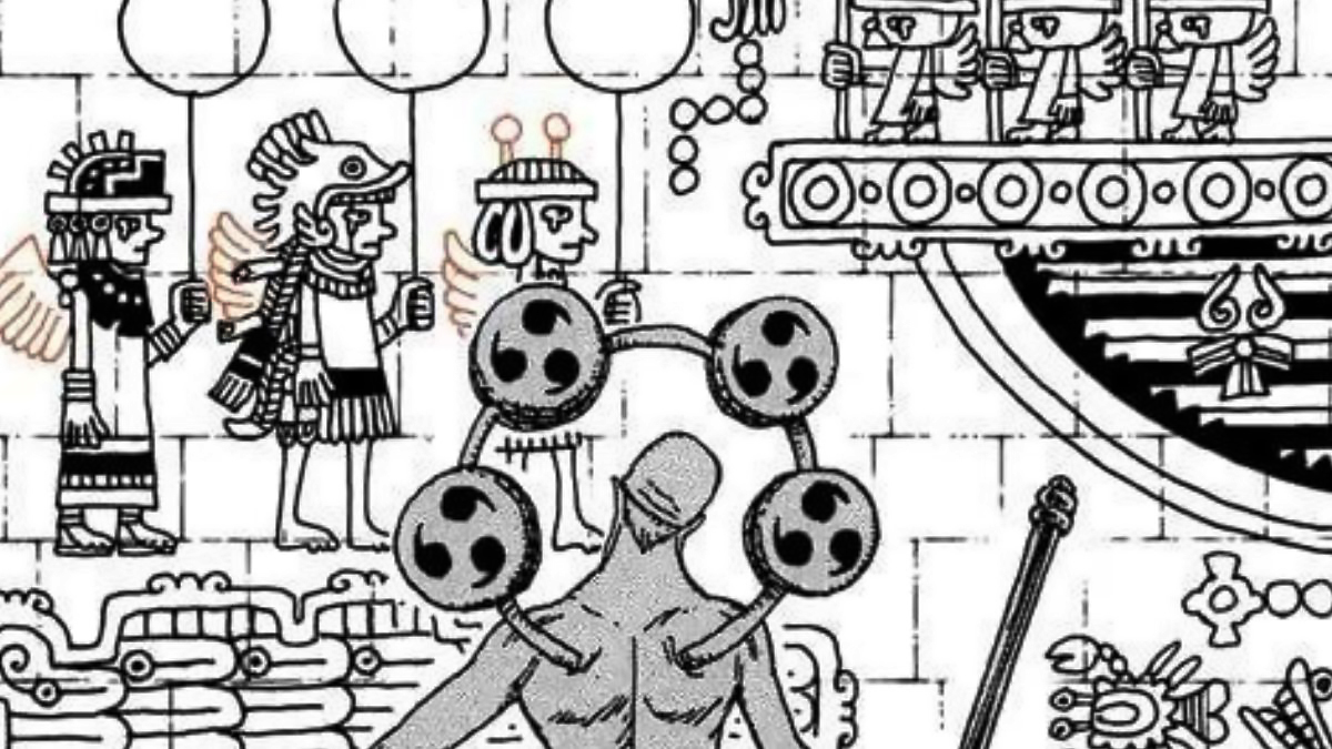 All the Known Races in ‘One Piece’