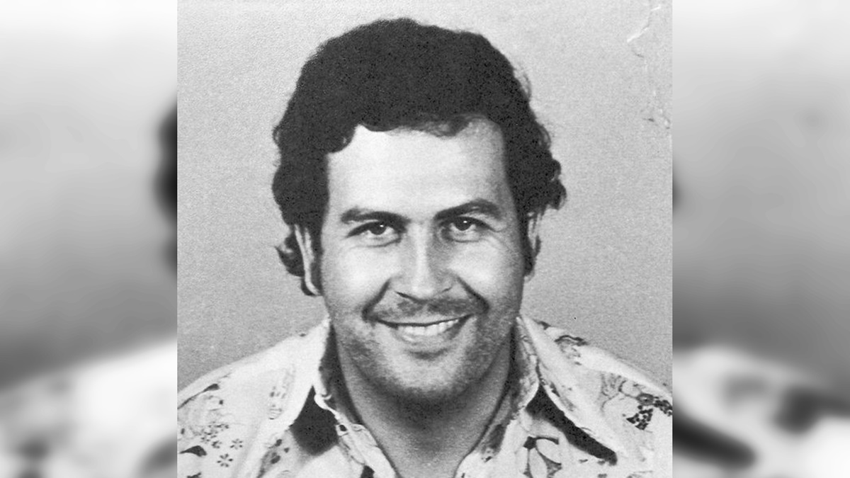 What's The Story Behind Pablo Escobar's Cocaine Hippos?