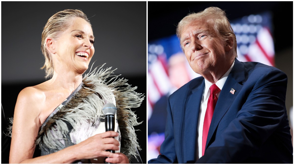 ‘I Think That’s an Intelligent Construct’: Sharon Stone’s ‘Politically ...