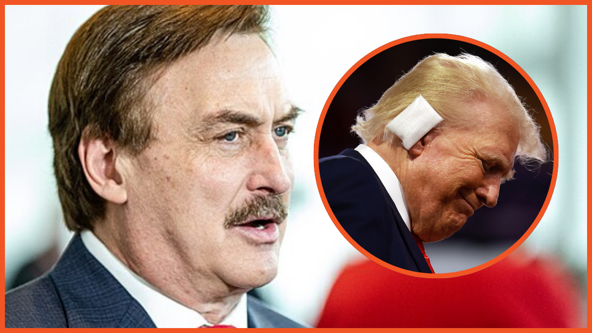 Whatever You Do, Don't Show Mike Lindell This MyEarPillow Meme, Because ...