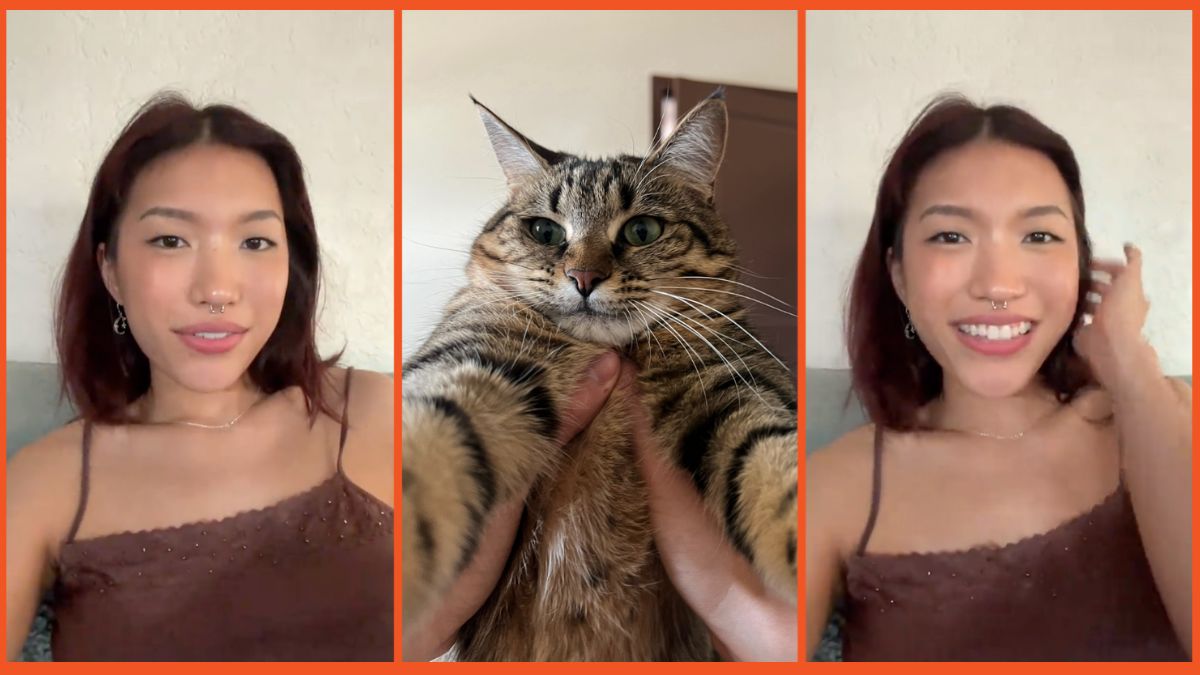 Pet Lover Gets So High That She Becomes Convinced She Can ...