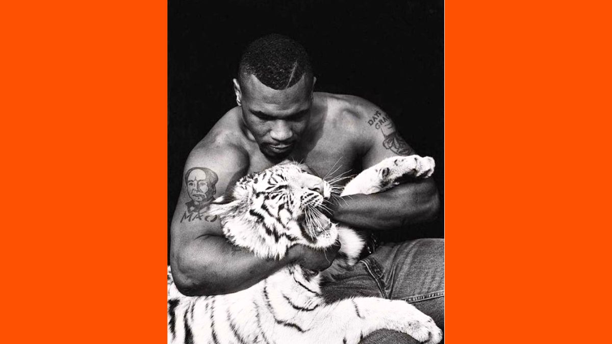 What Happened to Mike Tyson’s Tiger?