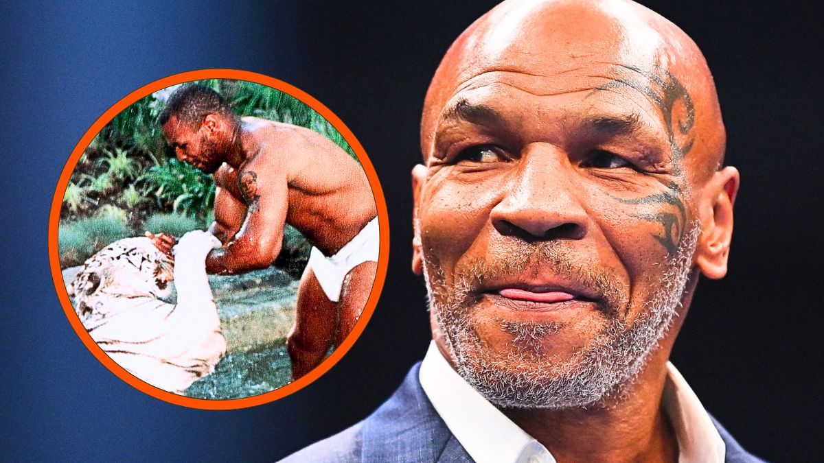 What Happened to Mike Tyson’s Tiger?