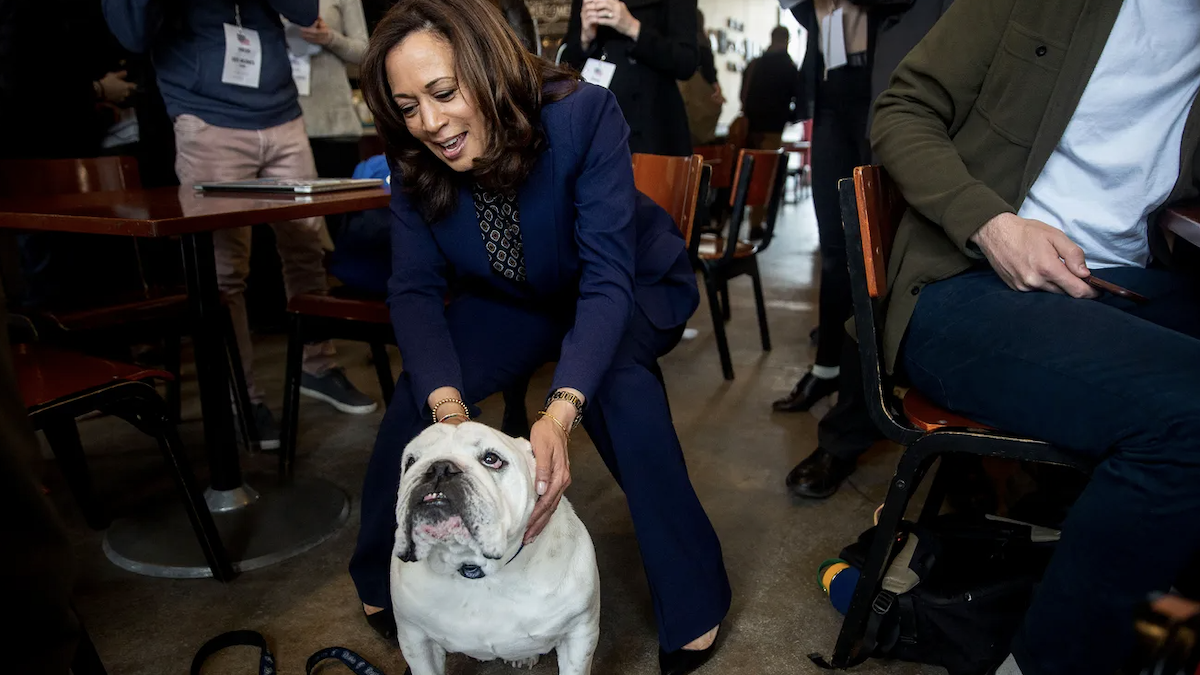 Does Kamala Harris Have Any Pets?