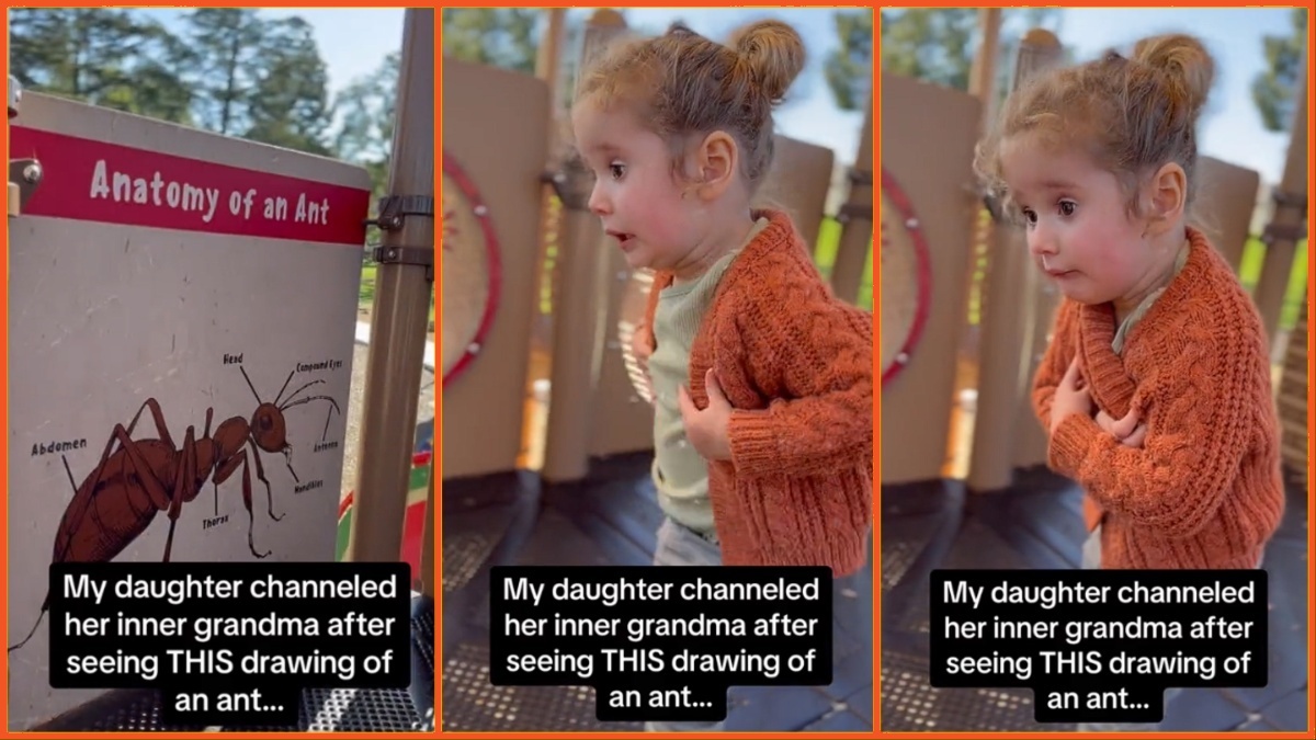 ‘She Literally Clutched Her Pearls’: Toddler Instantly Ages Into an Old ...