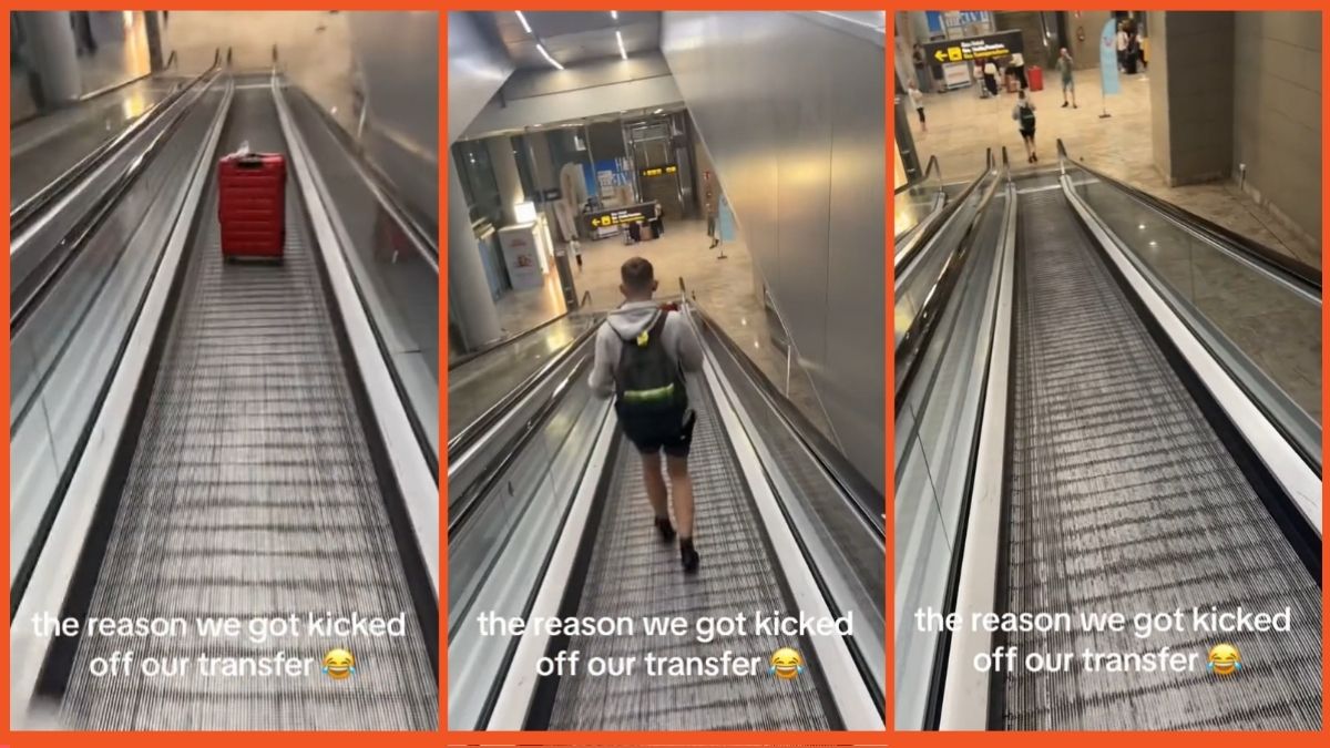 Passenger Unleashes Chaos at Airport With One Well-Timed Kick, and Not ...
