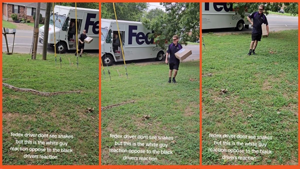 FedEx Man Gets a Fright When Home Owner Warns Him His Pet Snake Is ...