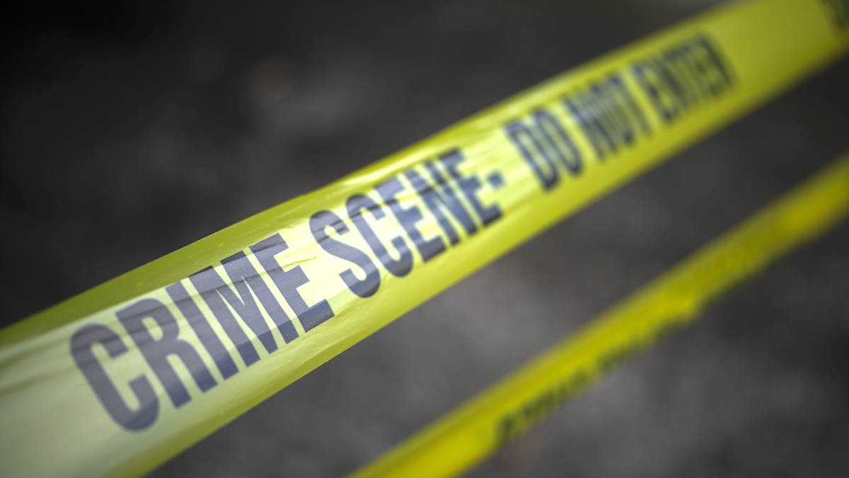 Did a Severed Human Head and Hands Help Solve a Missing Persons Case in ...