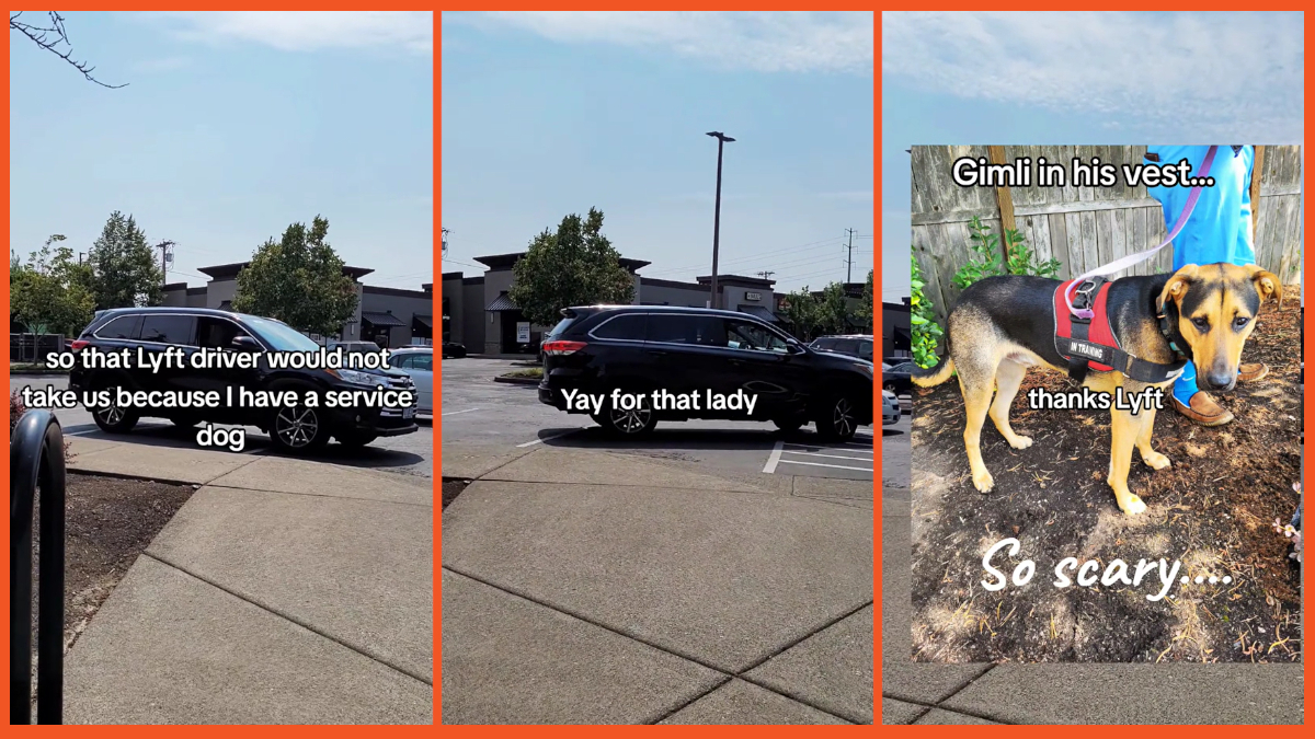 'Did you tell them BEFOREHAND': Lyft driver refuses to accept woman ...