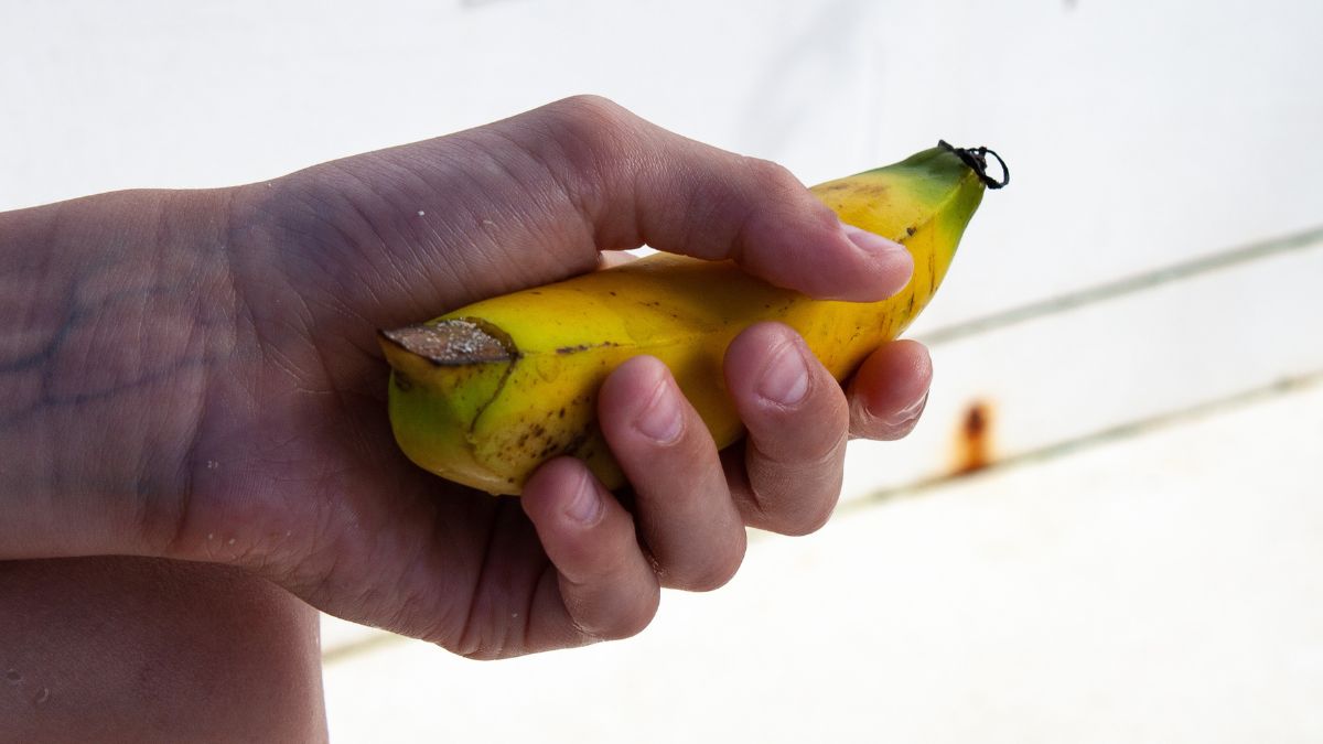 'Really quite good': Remember the banana that sold for $6.2 million ...
