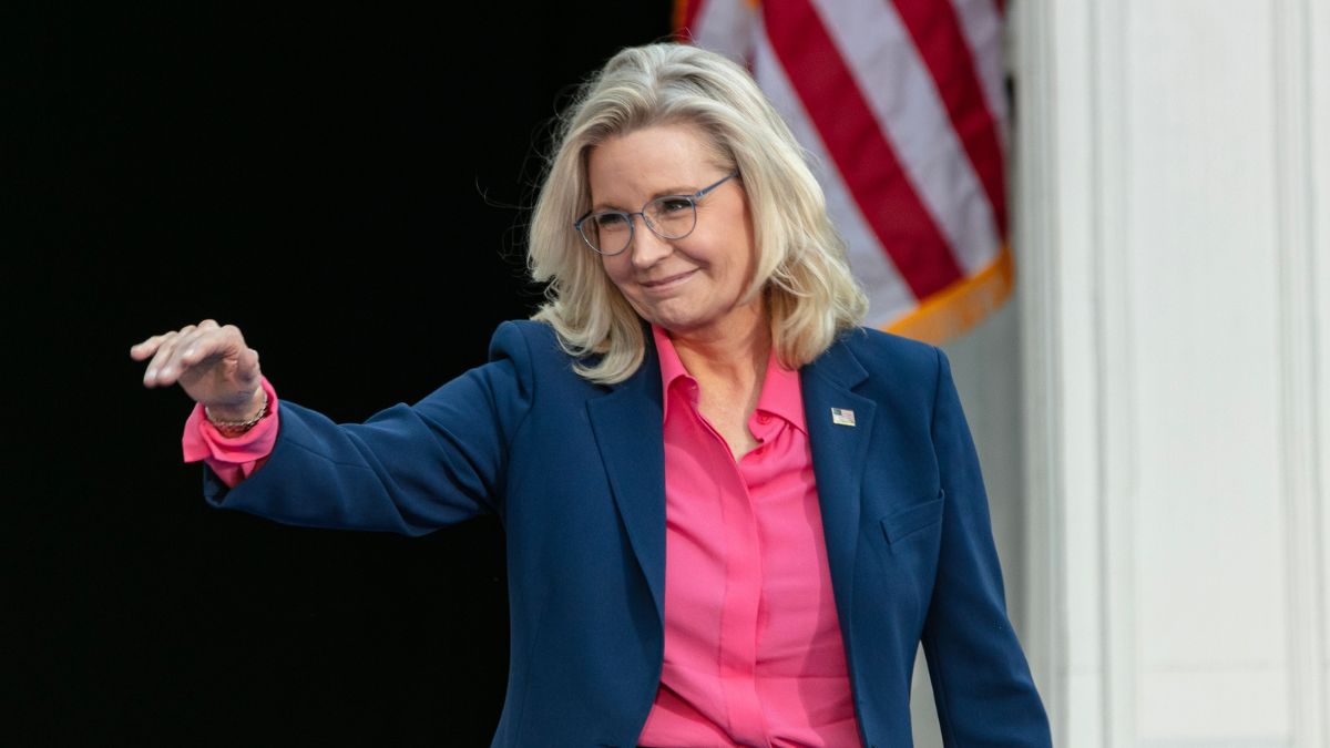 Liz Cheney says America's pimple Mike Johnson won't do the right thing ...