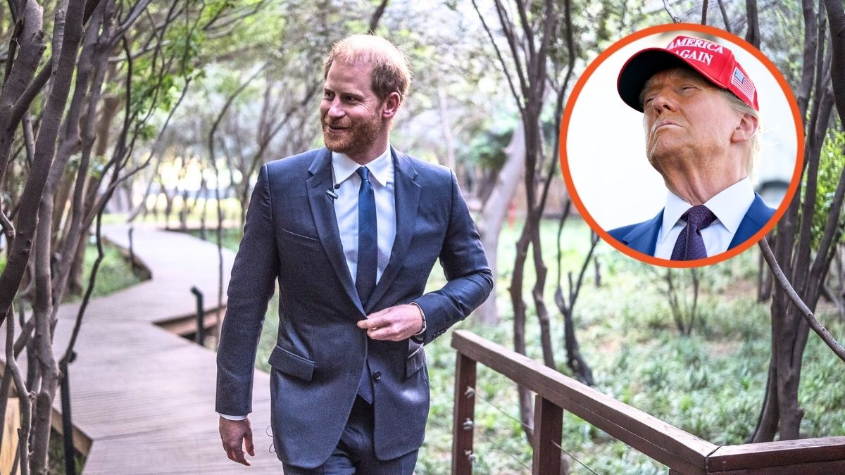 'A life pretty cocooned from Trumpite America': Prince Harry loses ...