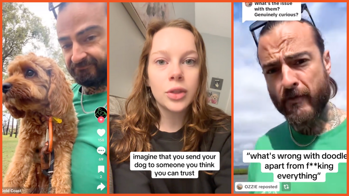 'This enraged me': Dog owner appalled when she discovers dogwalker ...