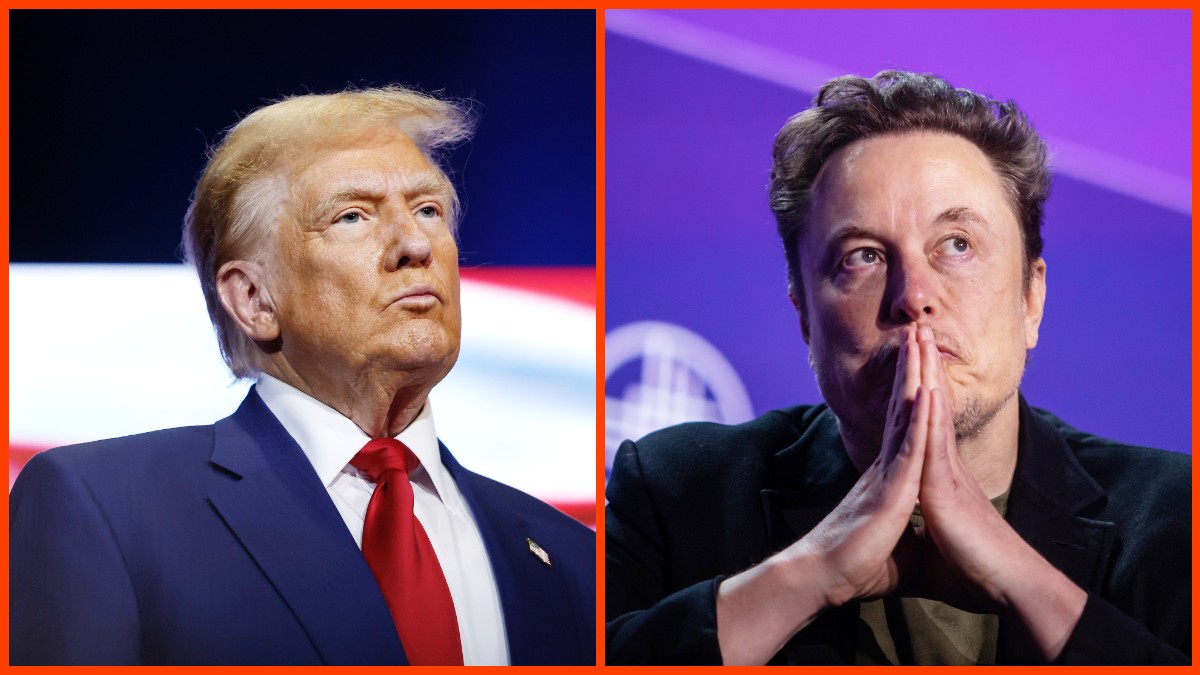 Donald Trump and Elon Musk's 'lovers spat' escalates as one toddler ...