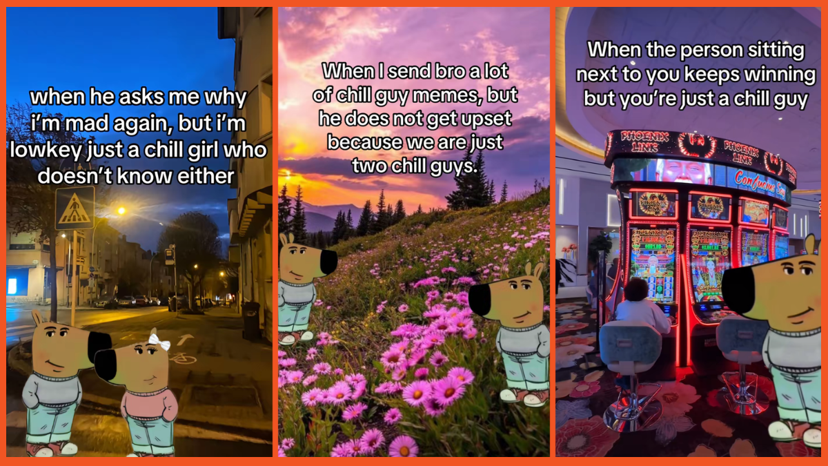 The 'I'm just a chill guy' meme, explained – We Got This Covered