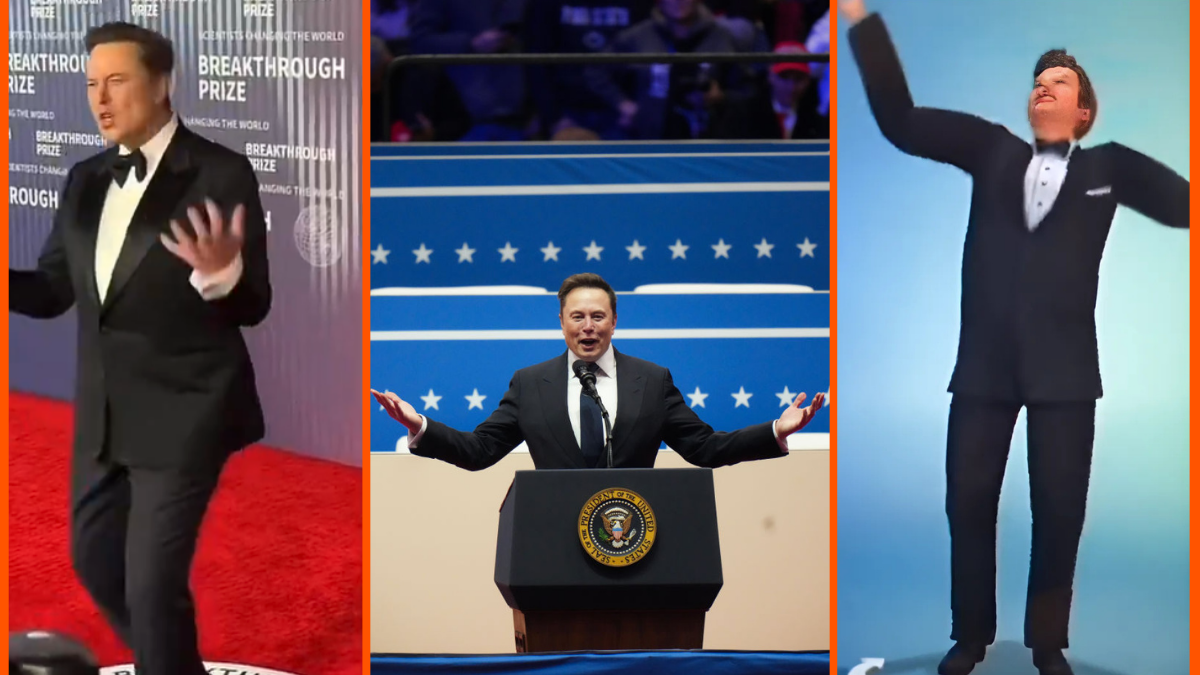 'Put him in the pool and delete the ladder': The internet has realized ...